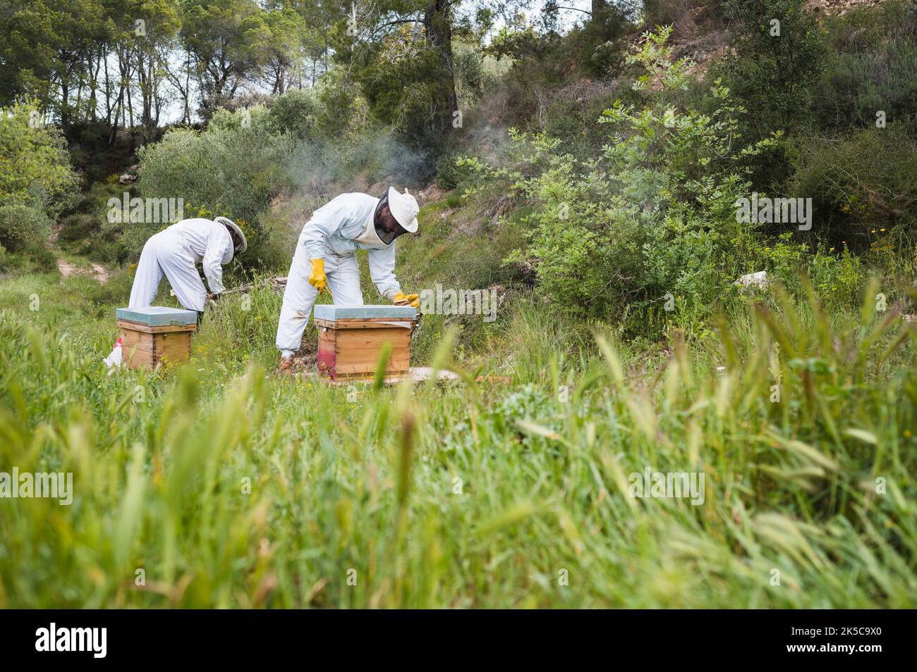 Professional beekeepers hi-res stock photography and images - Alamy