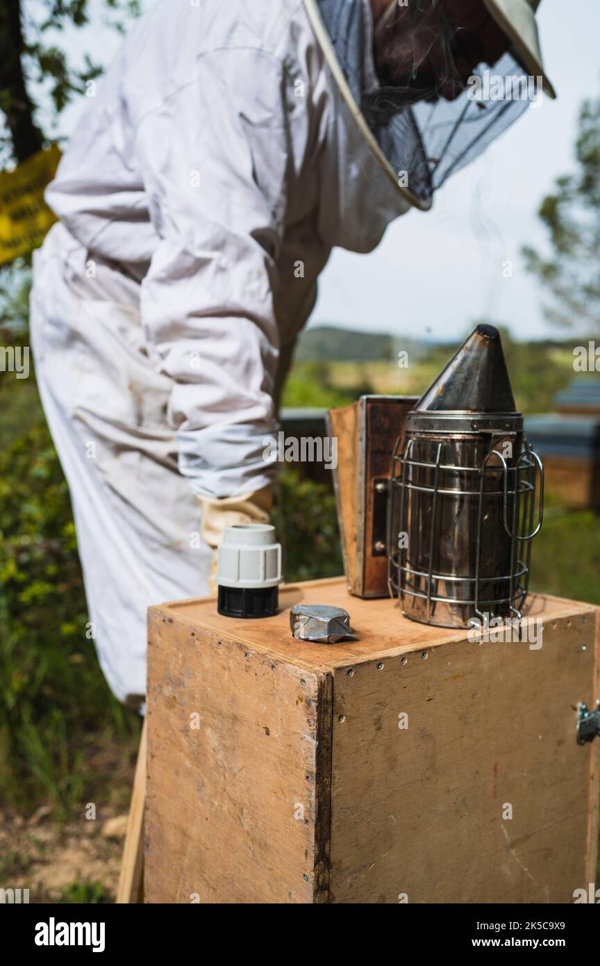 Focus selective of smoker with a beekeepers at work Stock Photo - Alamy