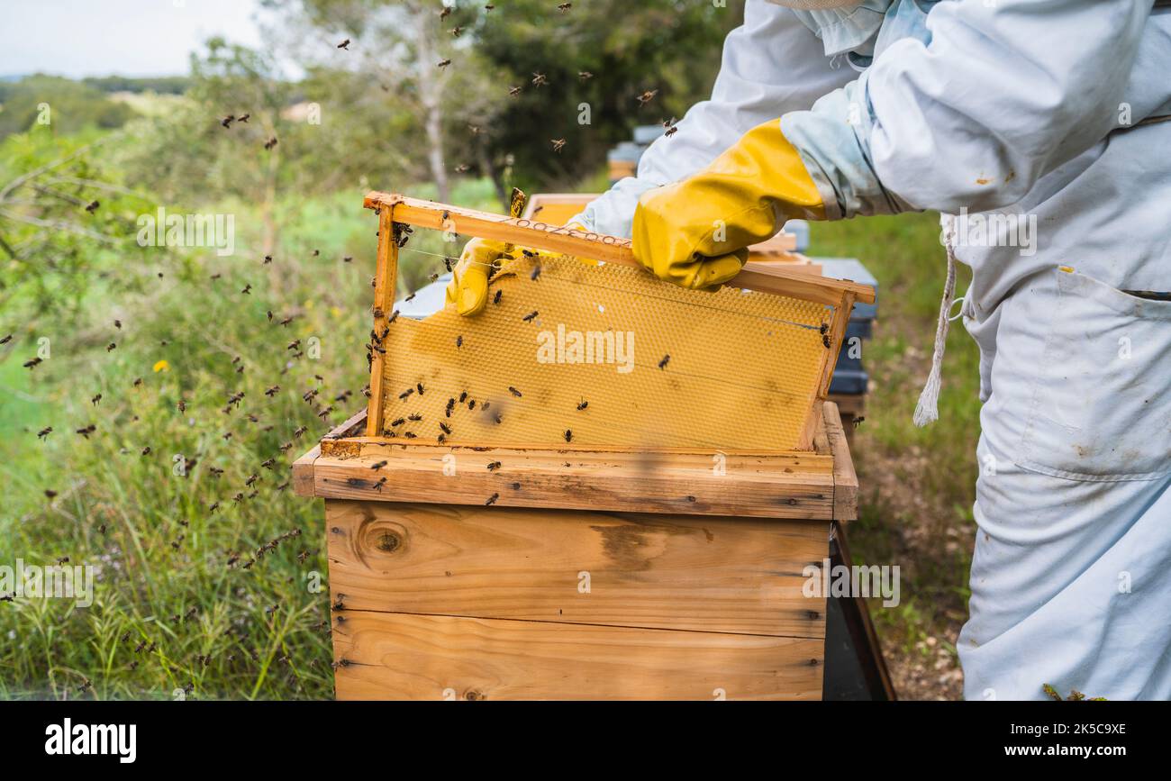 Human hive hi-res stock photography and images - Alamy