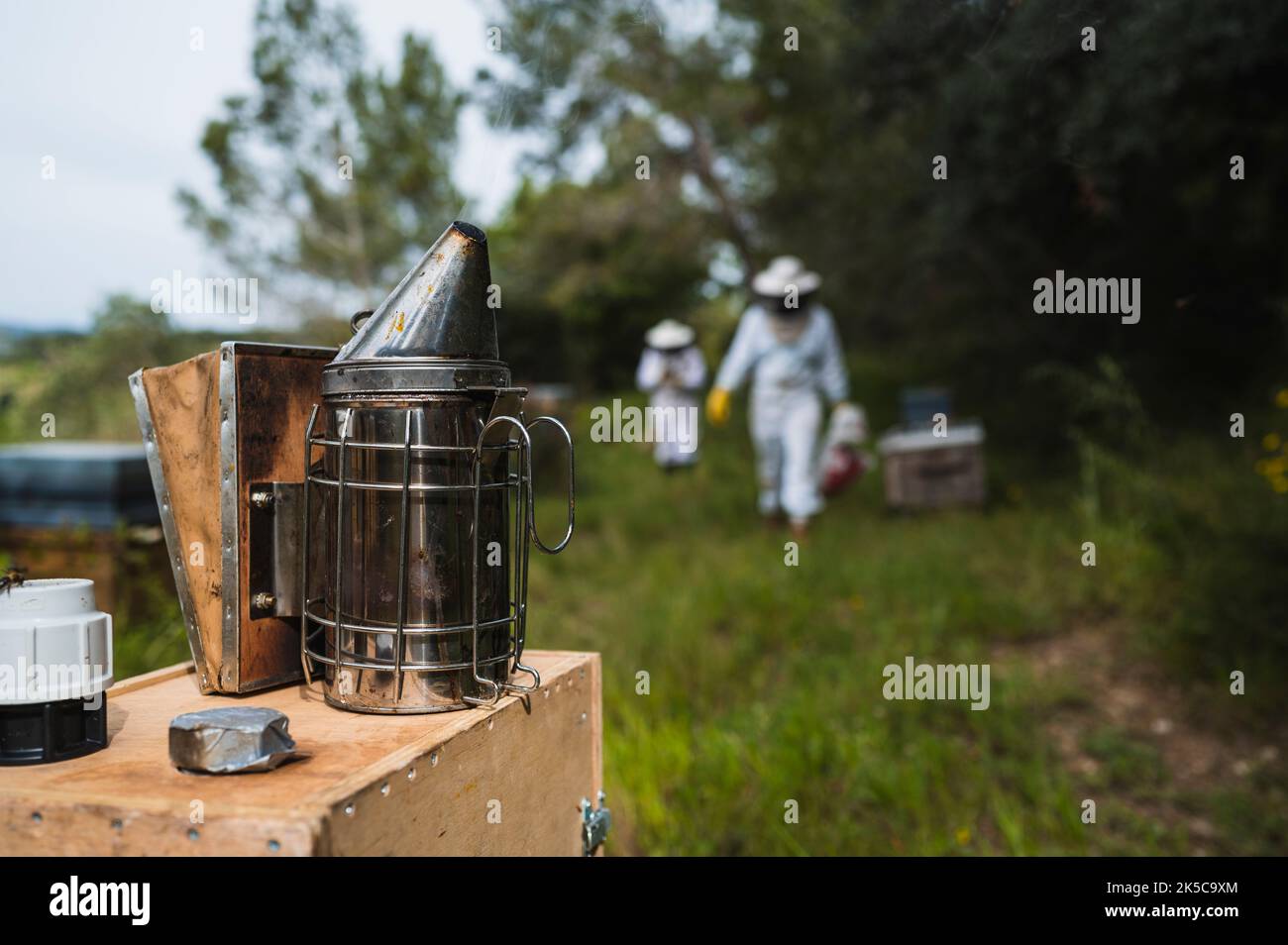 Focus selective of smoker with two beekeepers at work Stock Photo - Alamy