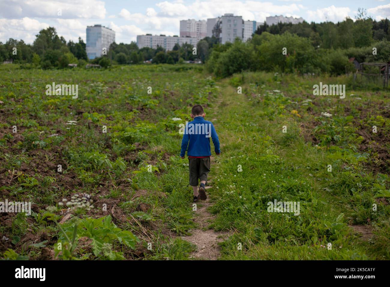 Child walks by nature. Schoolboy walks alone in summer Stock Photo - Alamy