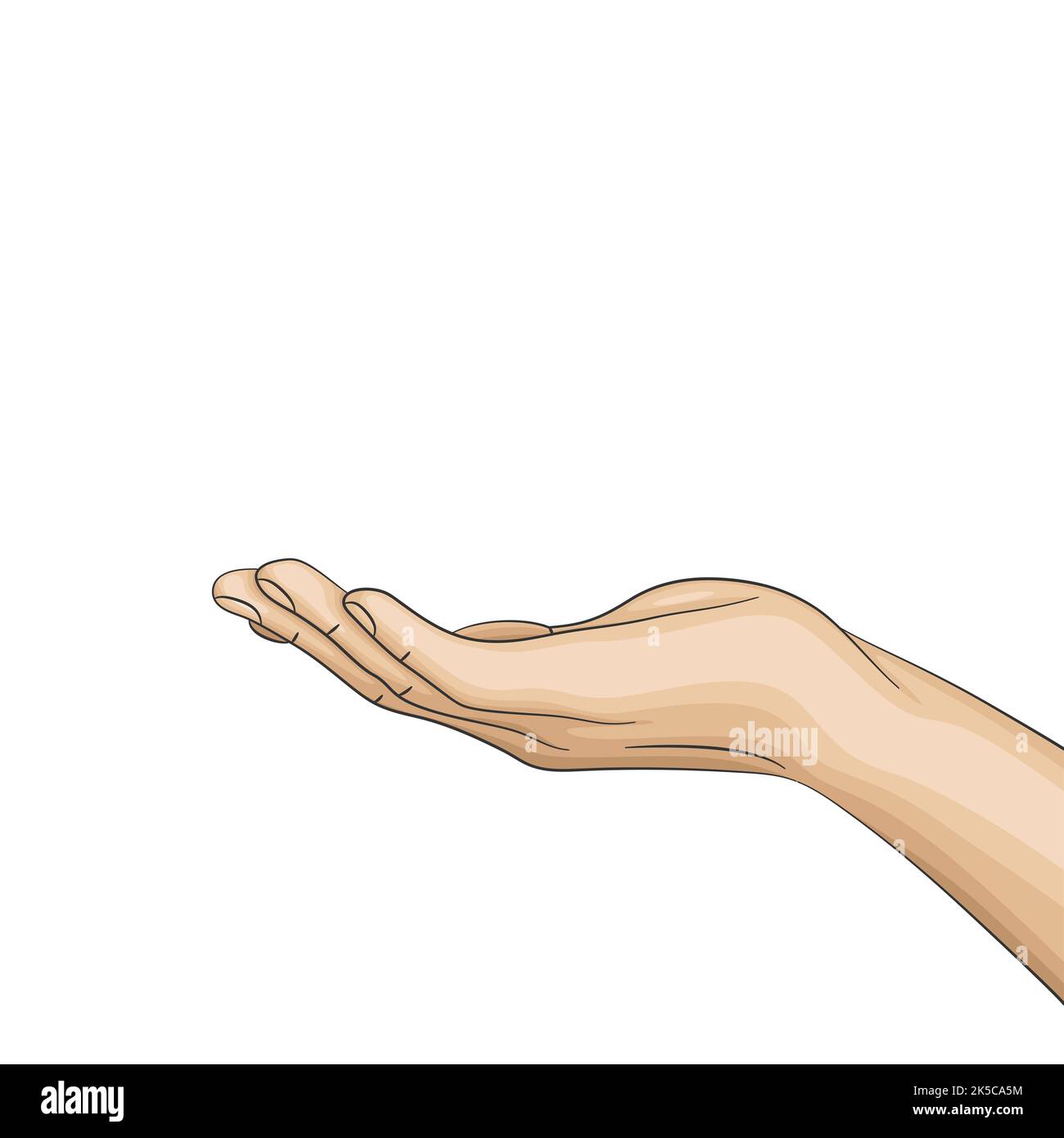 Hand turned the palm upward, open hand. Isolated on white background ...