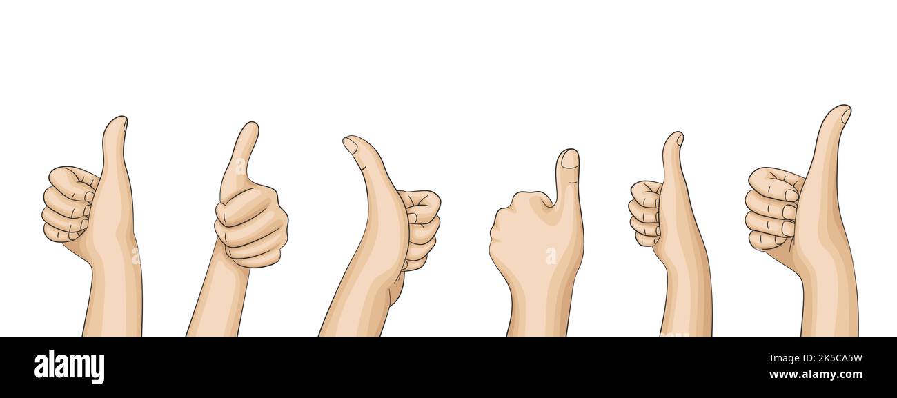 Many hands of people holding thumps up. Isolated on white background ...