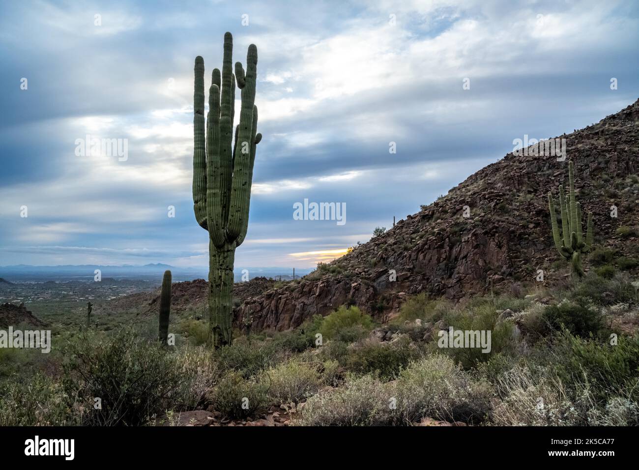 Canyon of gold hi-res stock photography and images - Alamy
