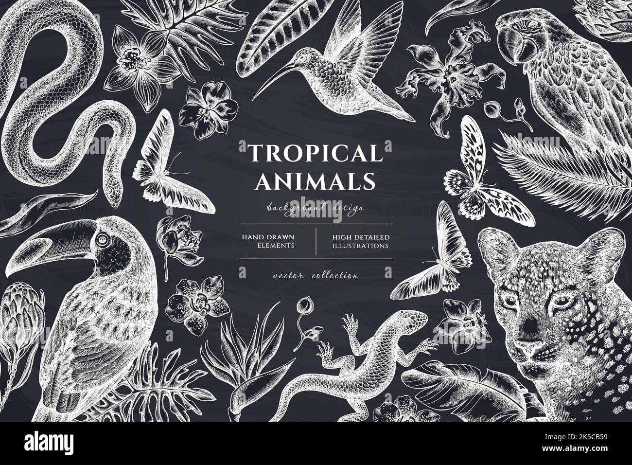 Tropical animals hand drawn illustration design. Background with chalk ...