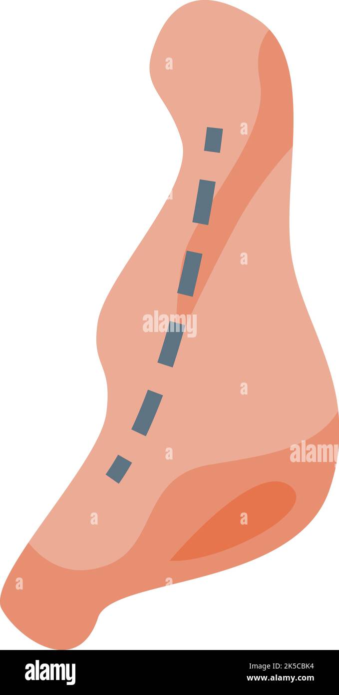 Doctor surgery icon isometric vector. Plastic nose. Operation bone ...