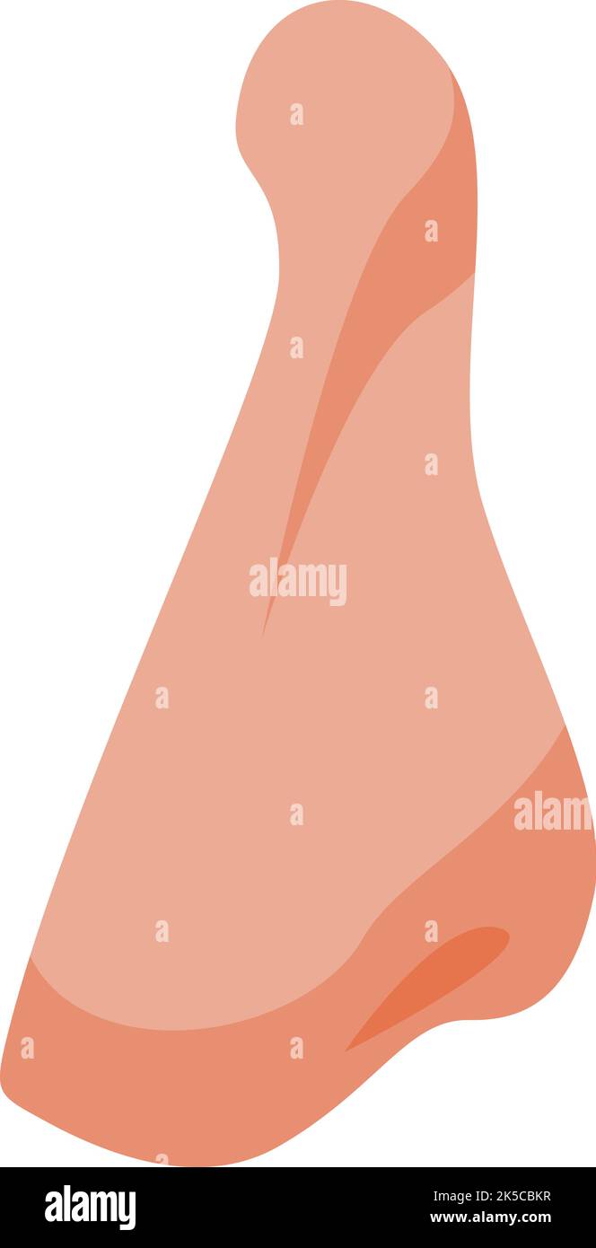 Anatomy facelift icon isometric vector. Nose surgery. Before lift Stock ...