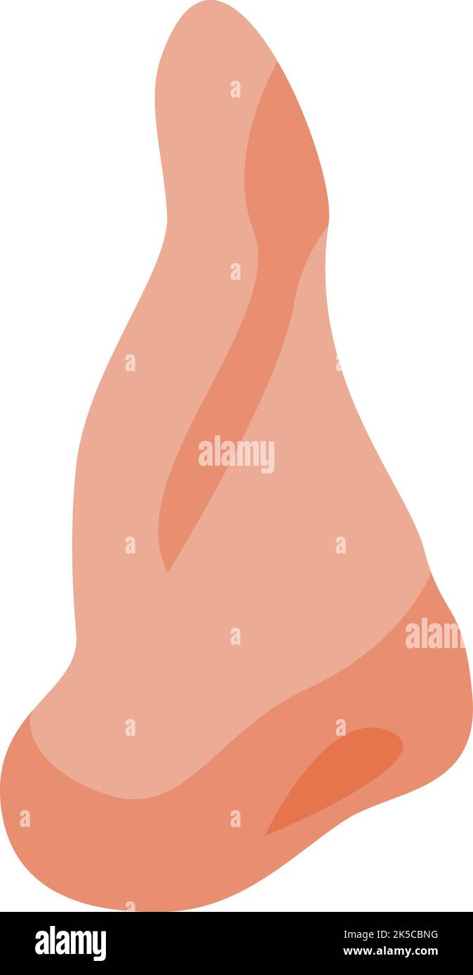 Nose adjustment icon isometric vector. Surgery plastic. After facelift ...