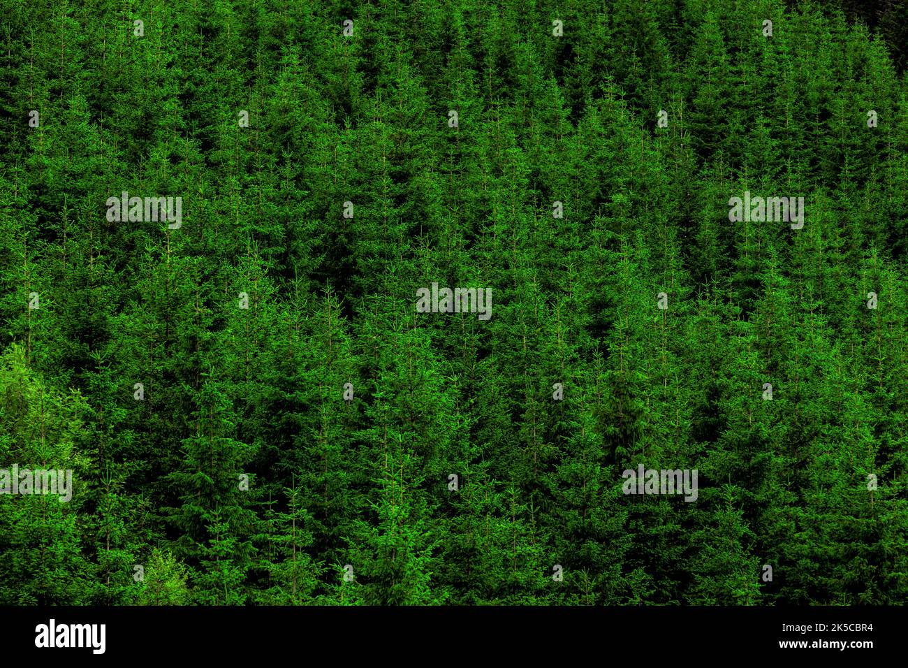 Dense filling hi-res stock photography and images - Alamy