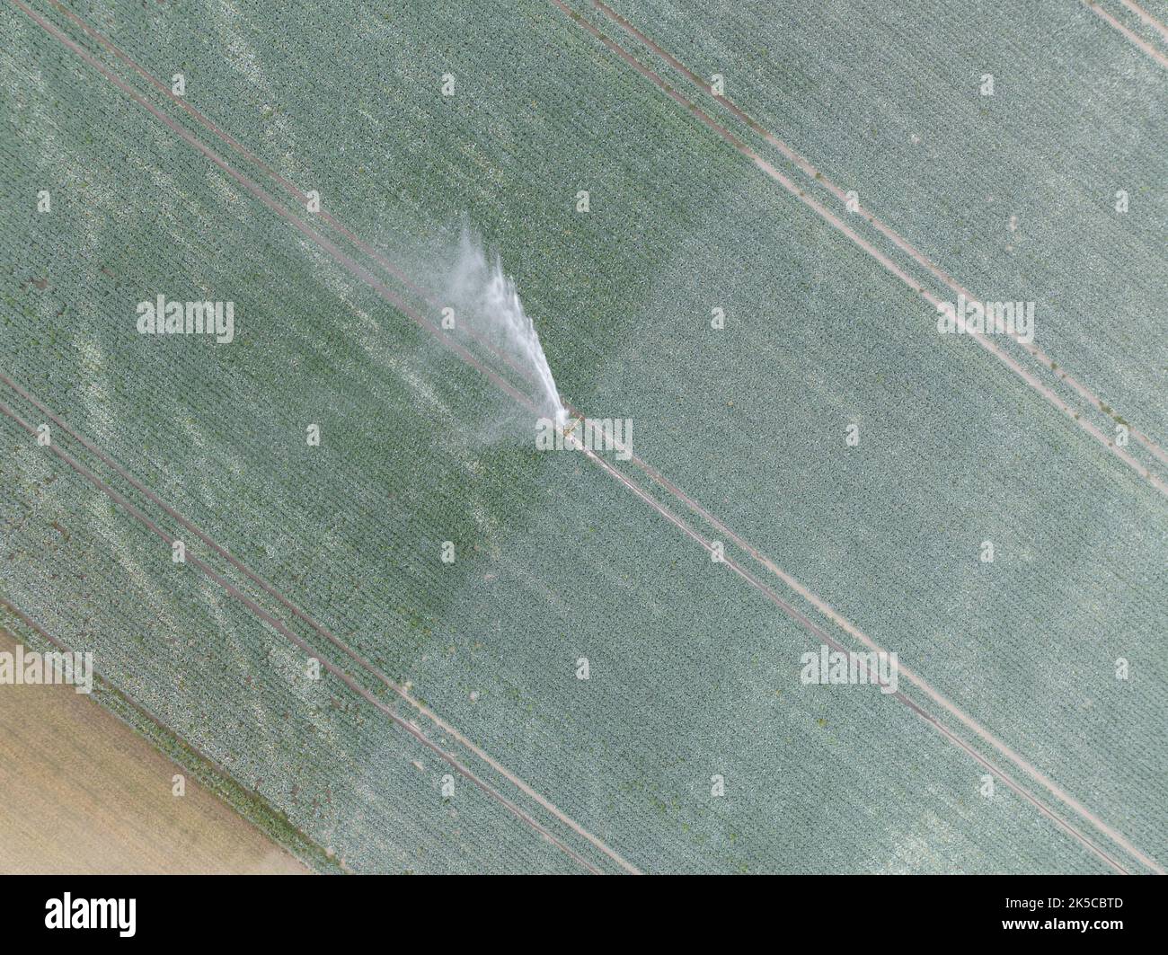 Agriculture watering of fields crops sprinkler water installation ...