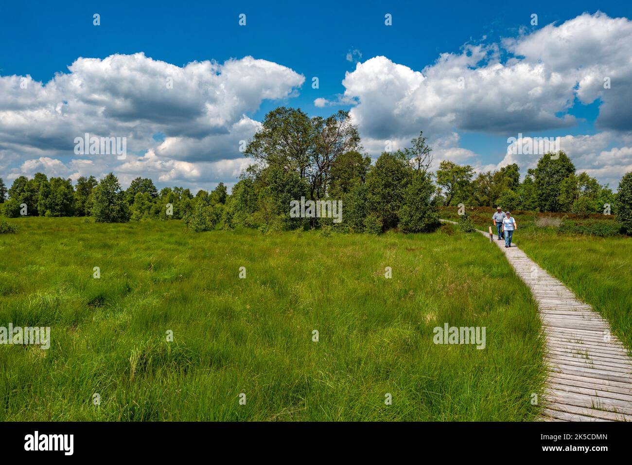 Hautes Fagnes, Benelux, Benelux countries, Ardennes, High Fens-Eifel ...