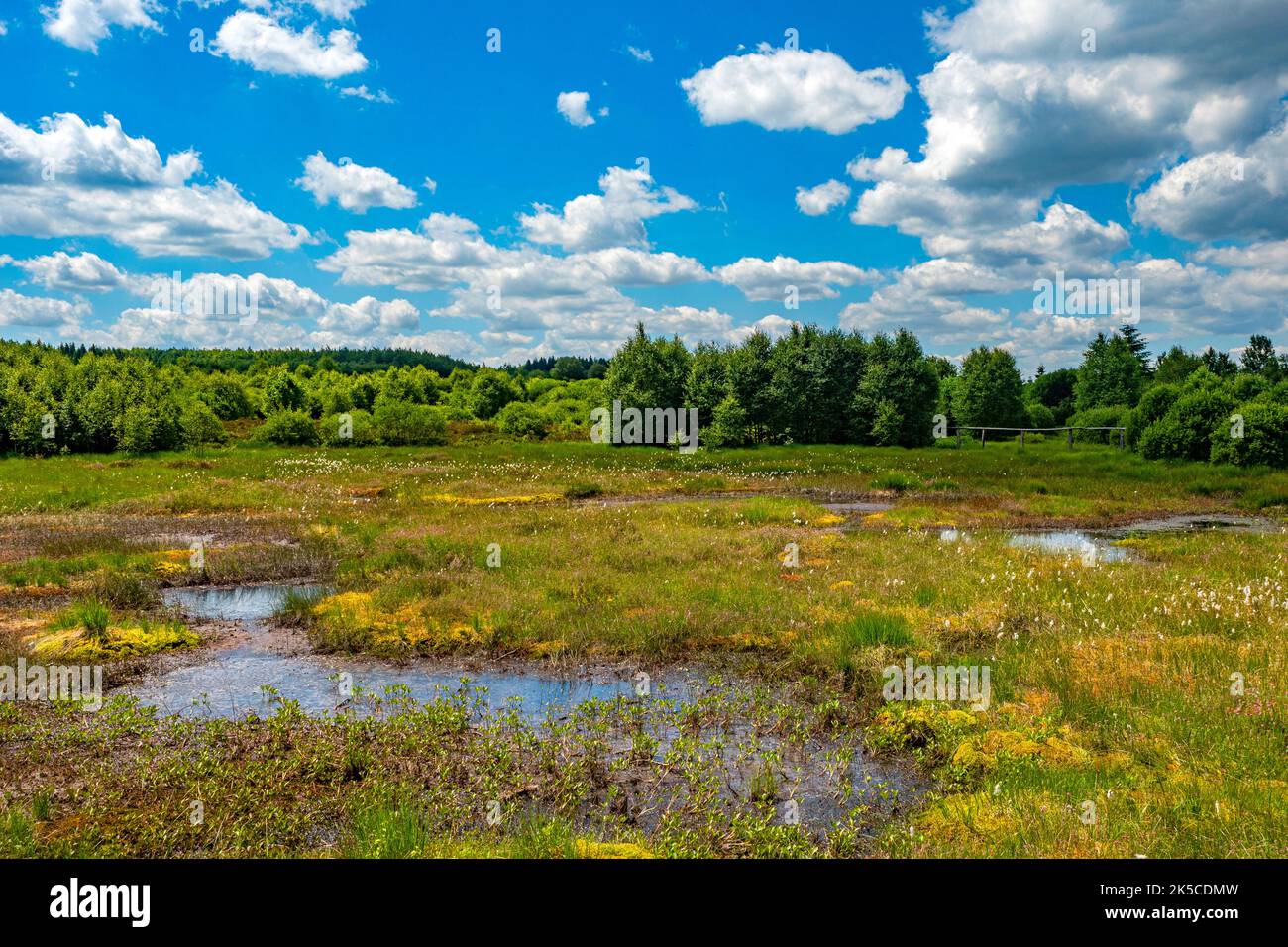 Hautes Fagnes, Benelux, Benelux countries, Ardennes, High Fens-Eifel ...