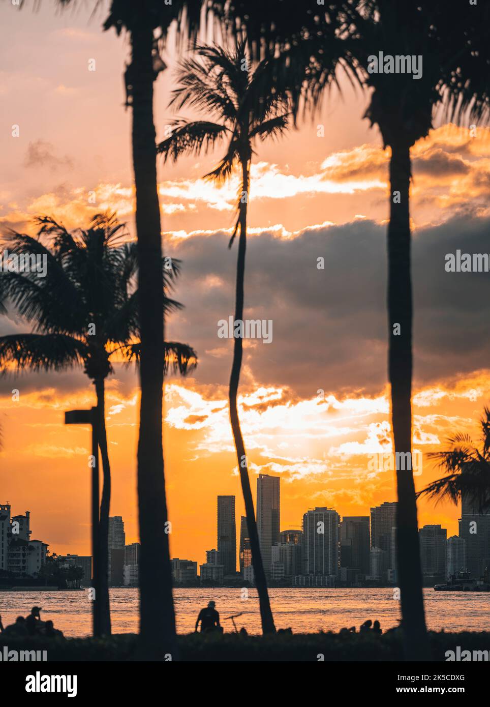sunset in the city beach palms south pointe park Miami Stock Photo - Alamy