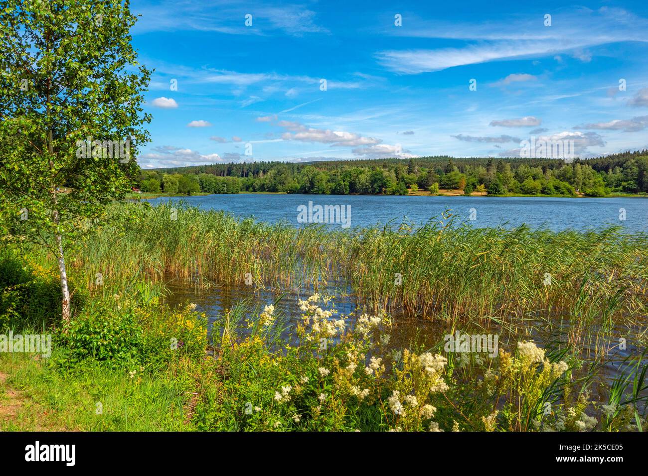 Losheimer See in Losheim am See, Black Forest, Saar-Hunsrück Nature ...