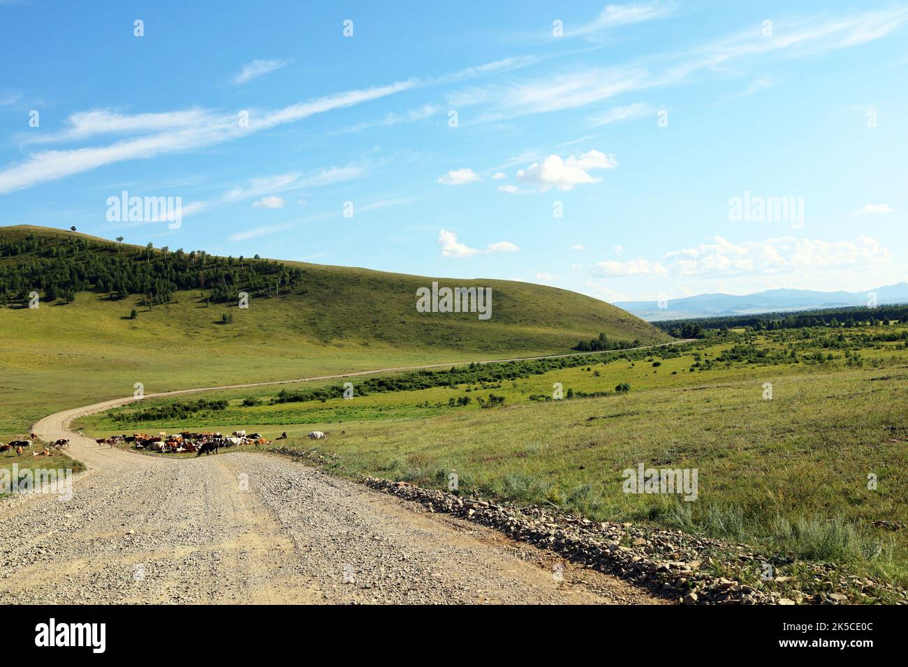 Asphalt road going over the horizon on a sunny day Stock Photo - Alamy