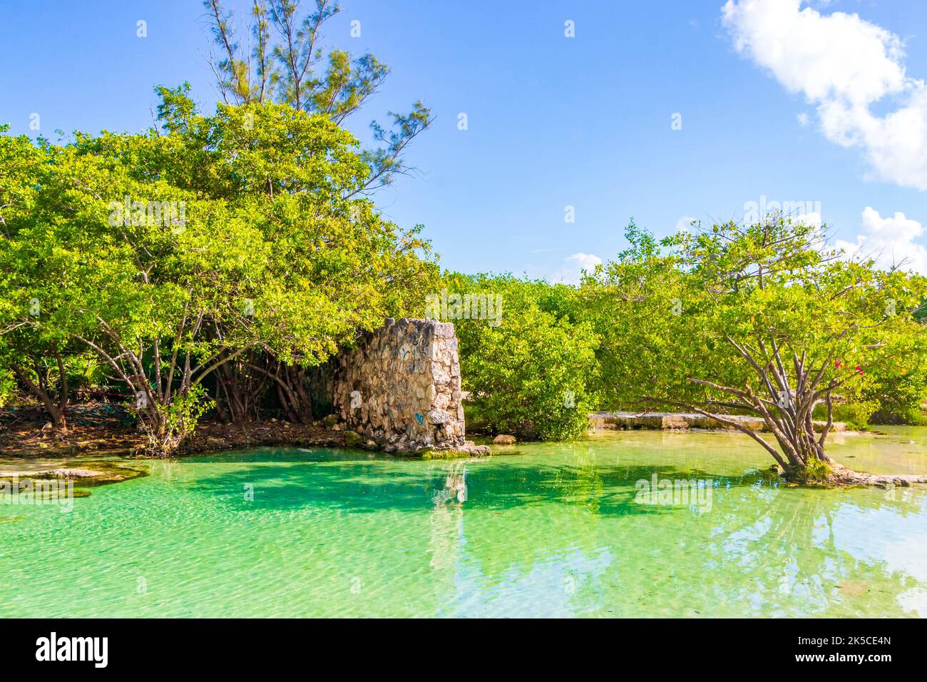 Small beautiful Cenote cave with river and turquoise blue water at ...