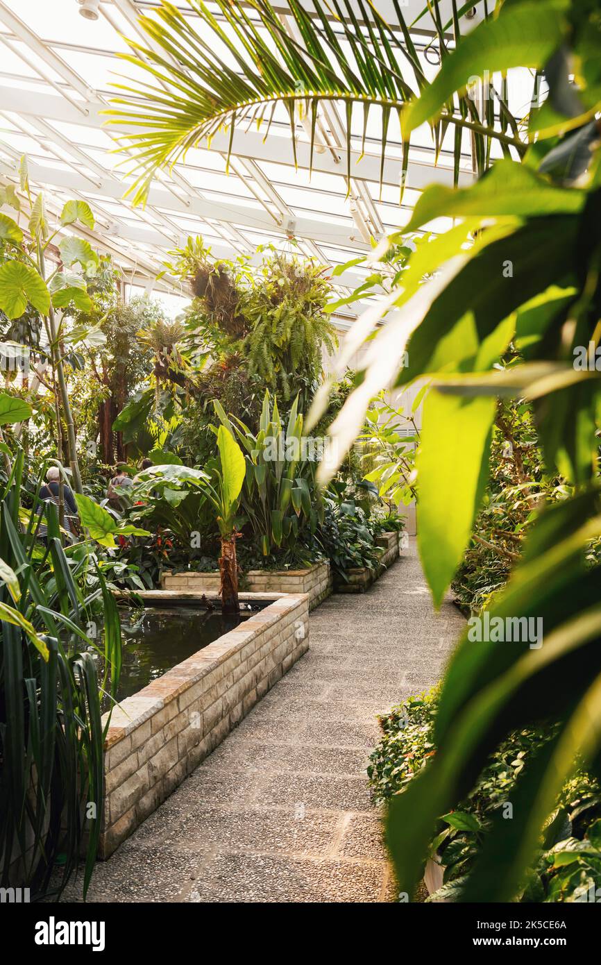 Tropical show house at Berggarten Botanical Garden in Hanover, Lower ...