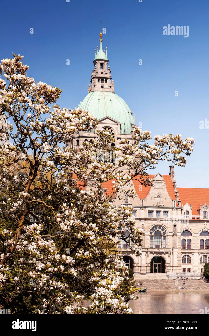 Spring at the New City Hall in Hannover, Lower Saxony, Germany Stock ...