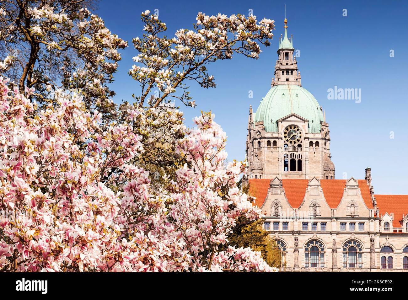 Spring at the New City Hall in Hannover, Lower Saxony, Germany Stock ...
