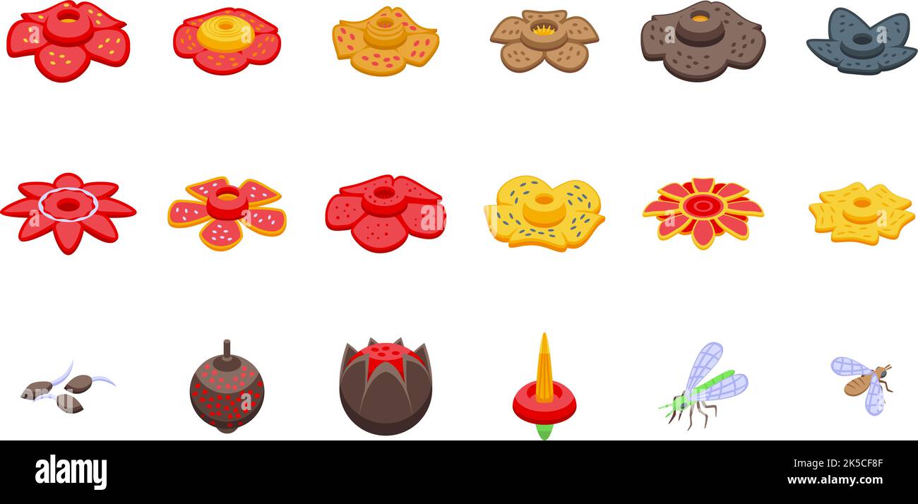 Rafflesia icons set isometric vector. Flower bloom. Asian flora Stock ...