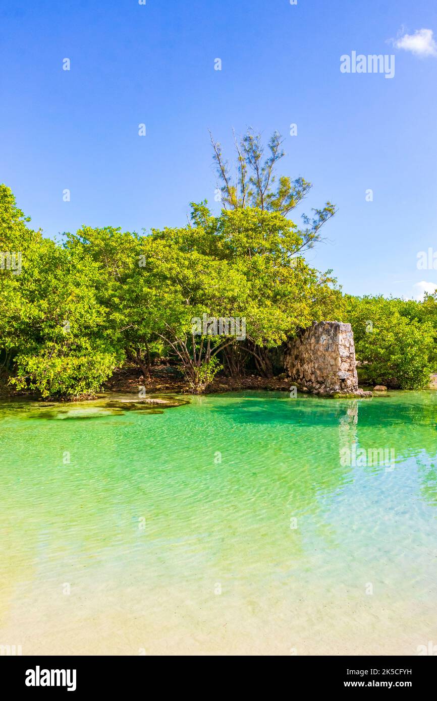 Small beautiful Cenote cave with river and turquoise blue water at ...