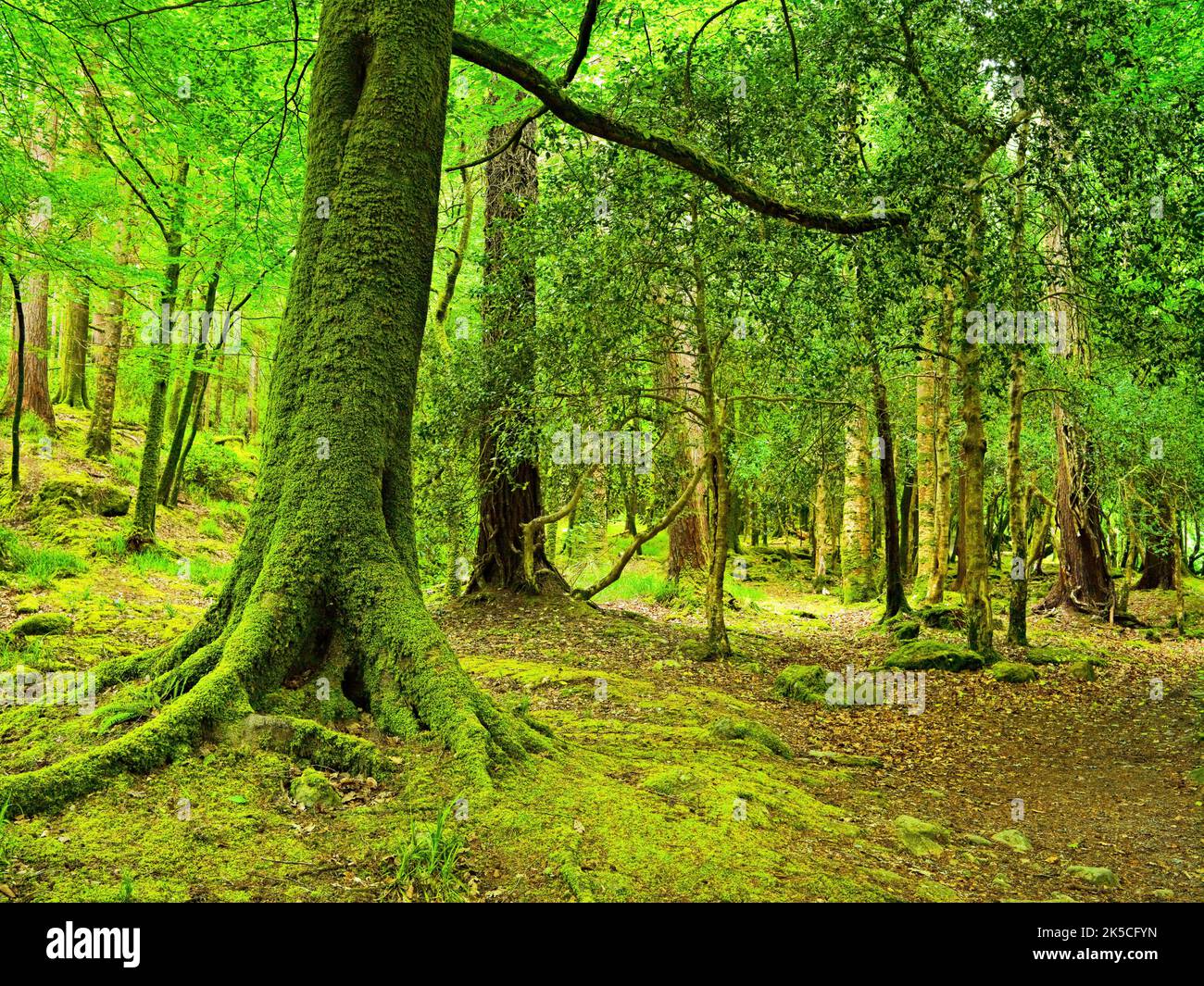 Europe, Western Europe, Ireland, Republic of Ireland, County Kerry ...