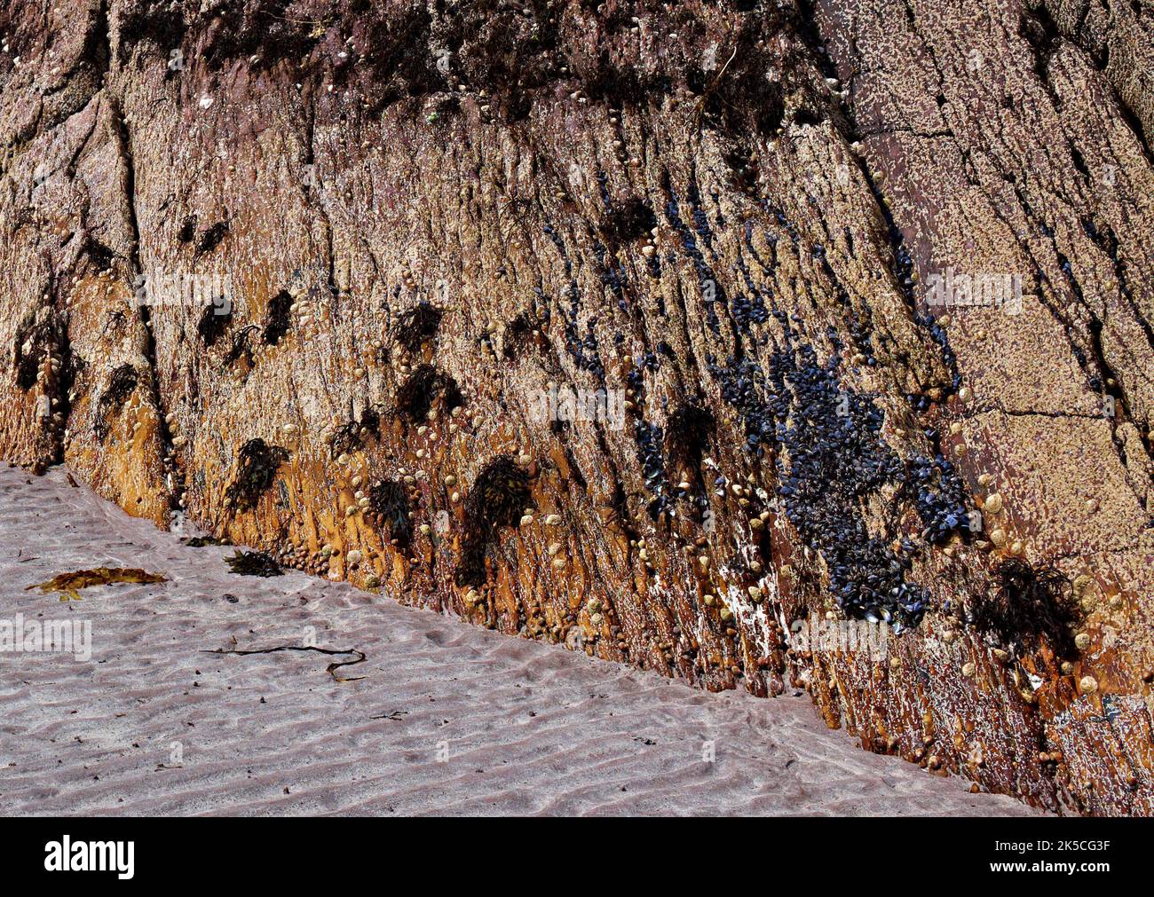 Europe, Western Europe, Ireland, Republic of Ireland, County Kerry ...