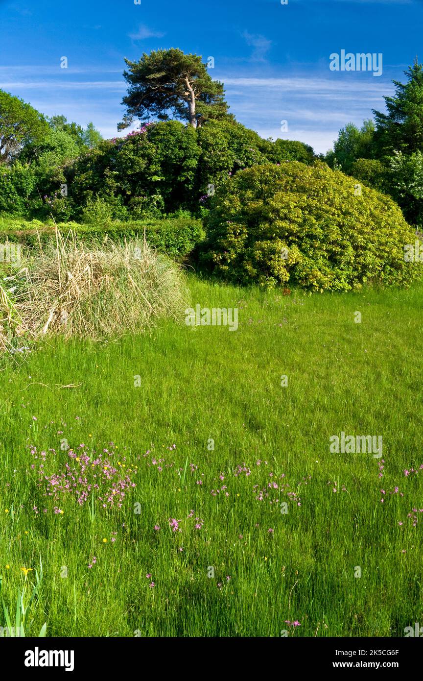 Europe, Western Europe, Ireland, Republic of Ireland, County Kerry ...