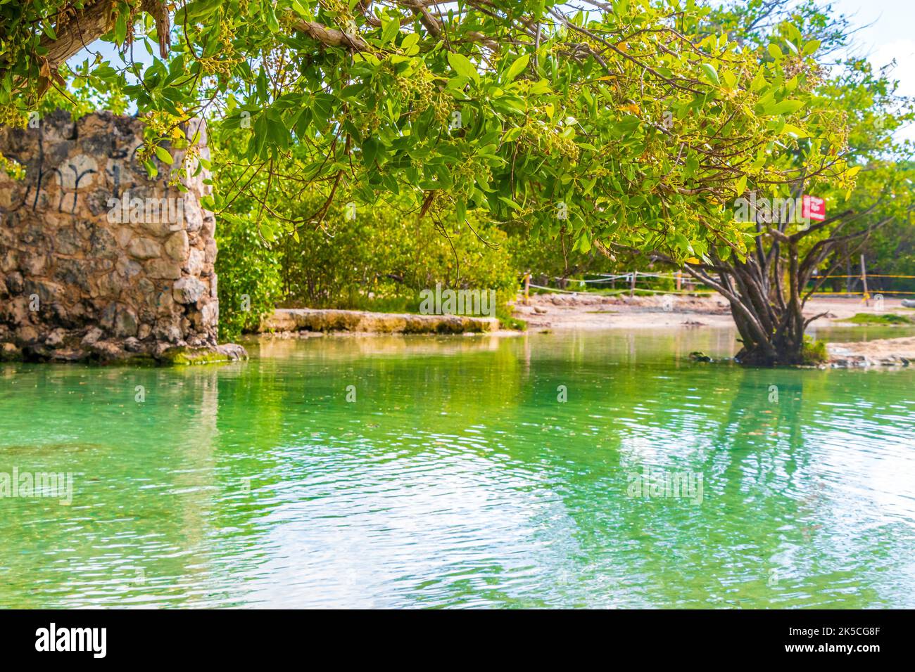 Small beautiful Cenote cave with river and turquoise blue water at ...