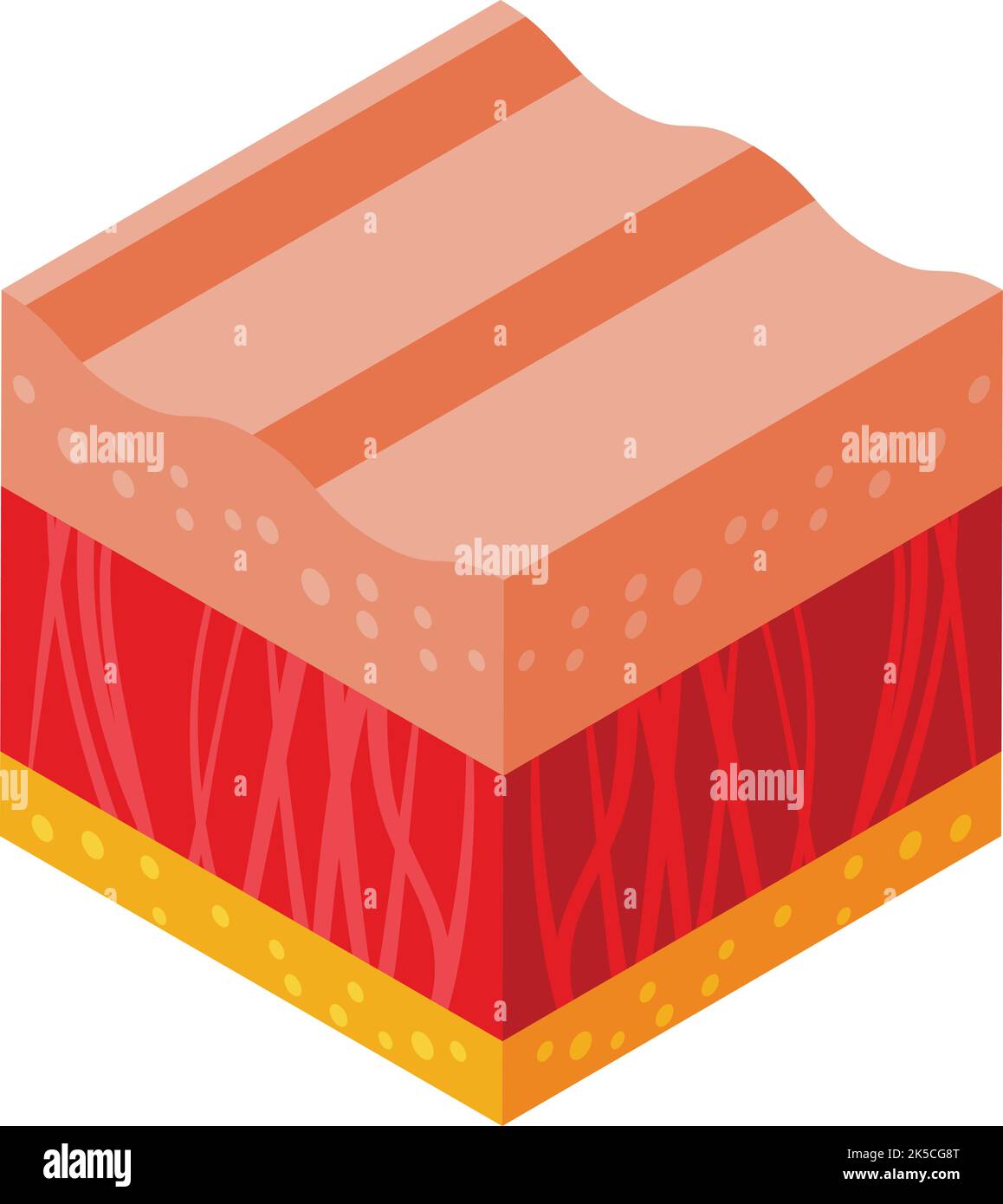 Healthy skin icon isometric vector. Molecule cell. Age protein Stock ...