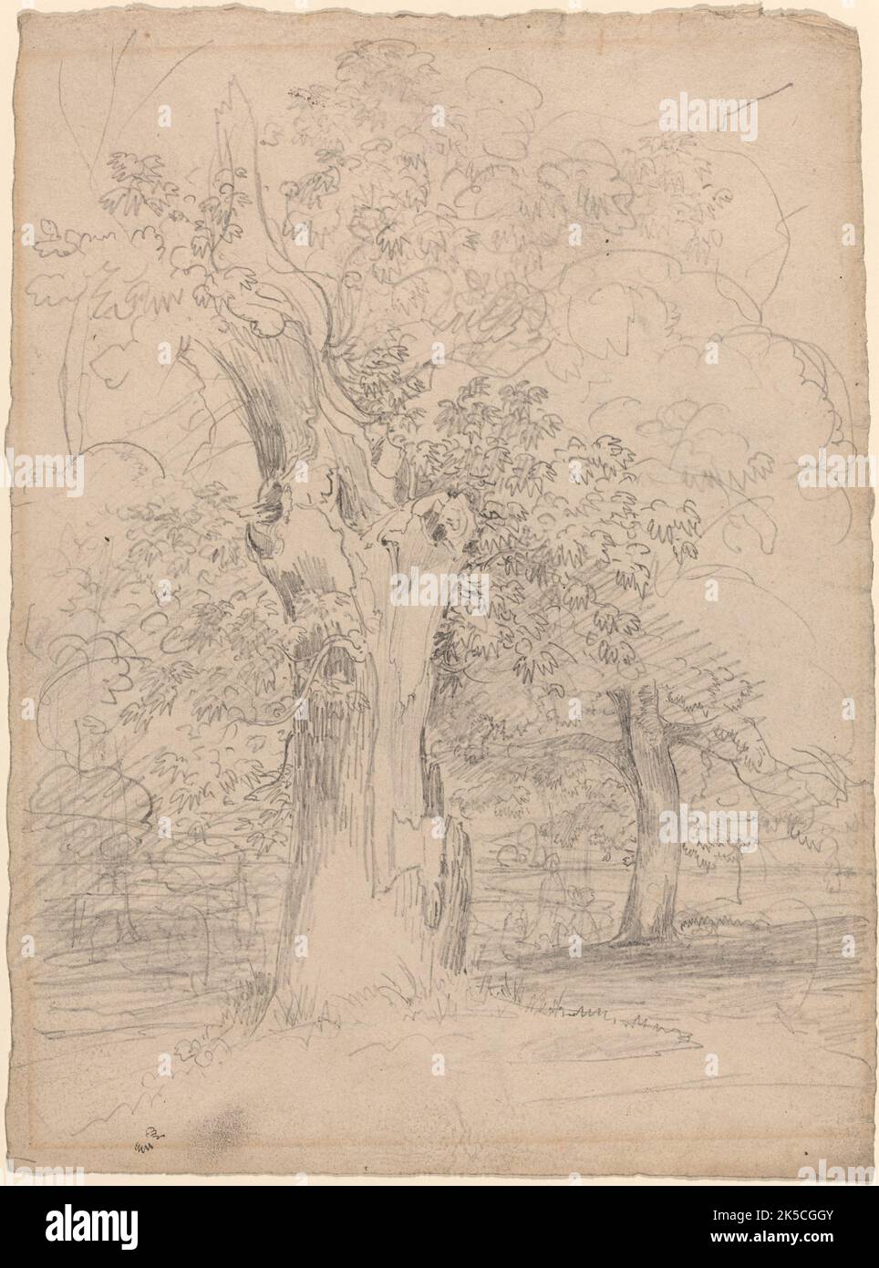 An Ancient Tree with Figures in a Landscape, c. 1835 Stock Photo - Alamy