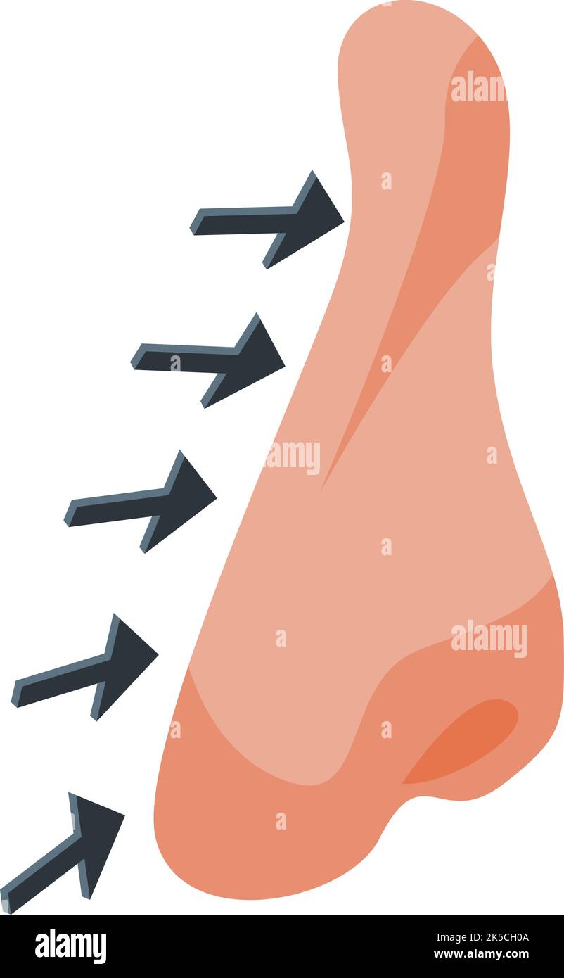 Nose rhinoplasty icon isometric vector. Surgery side. After operation ...