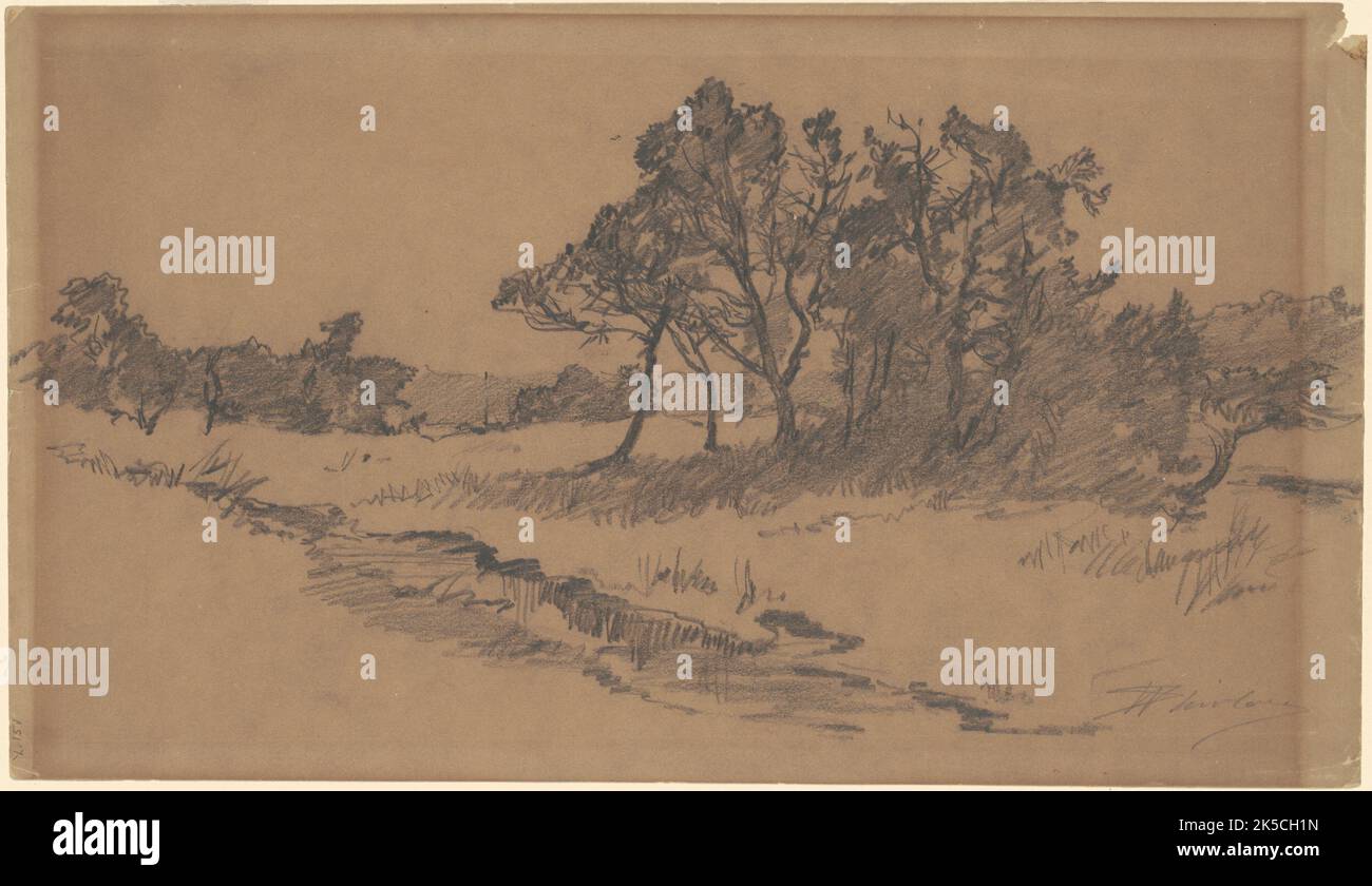 Trees in a Field, late 19th century Stock Photo - Alamy