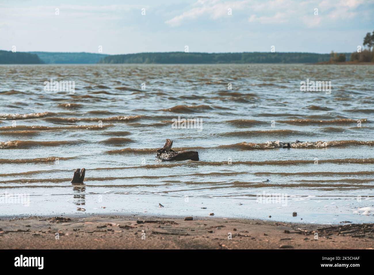 Dead dry snags and trees in the lake. Ecological problems and ...