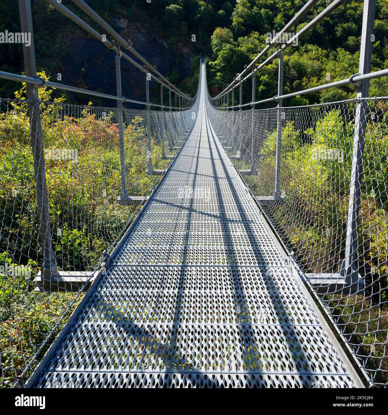 Vertical view on himalayan footbridge crossing the Drac near Lake ...