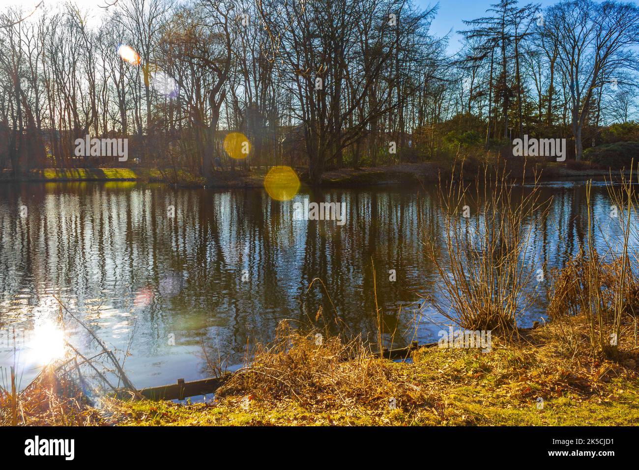 Natural panorama view lake river pathway green plants trees and forest ...