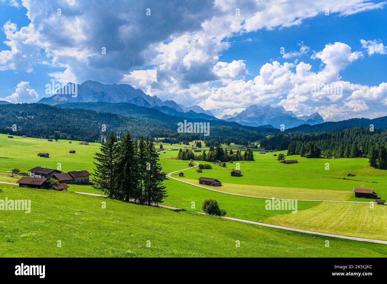 Hummock grass hi-res stock photography and images - Alamy