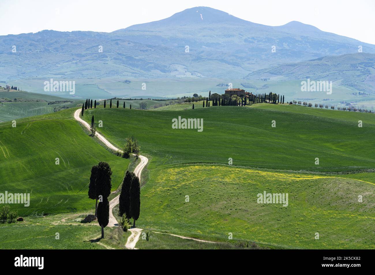 Gladiator street hi-res stock photography and images - Alamy