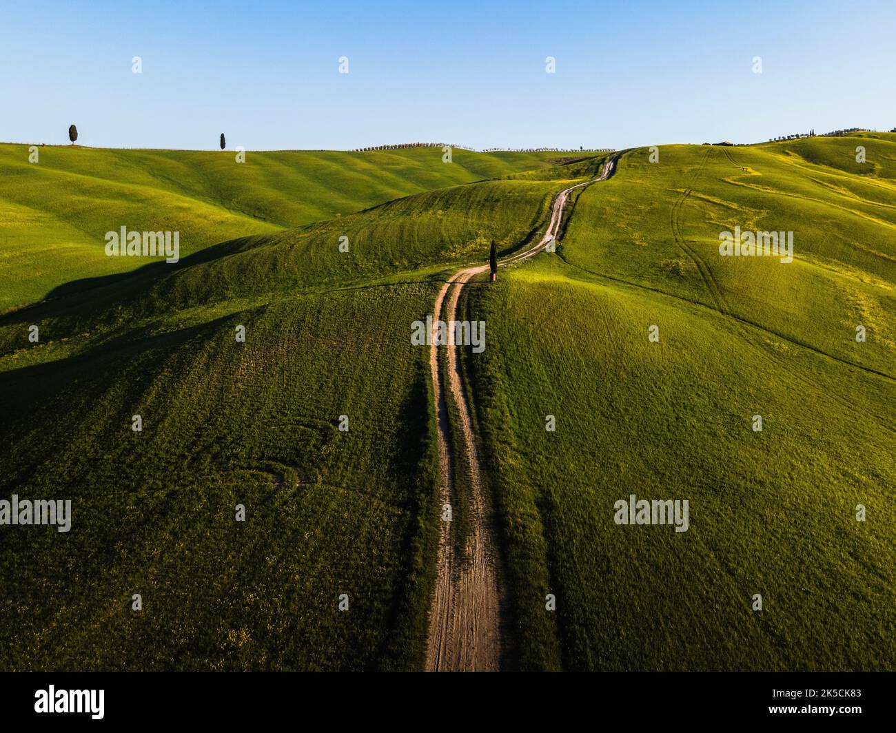 Road in a typical landscape of Tuscany, Italy Stock Photo - Alamy