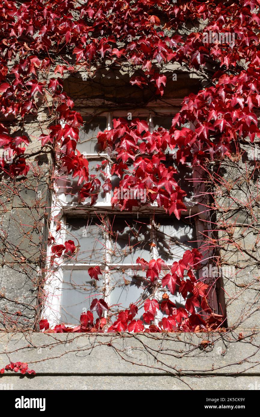 Spreading round window hi-res stock photography and images - Alamy