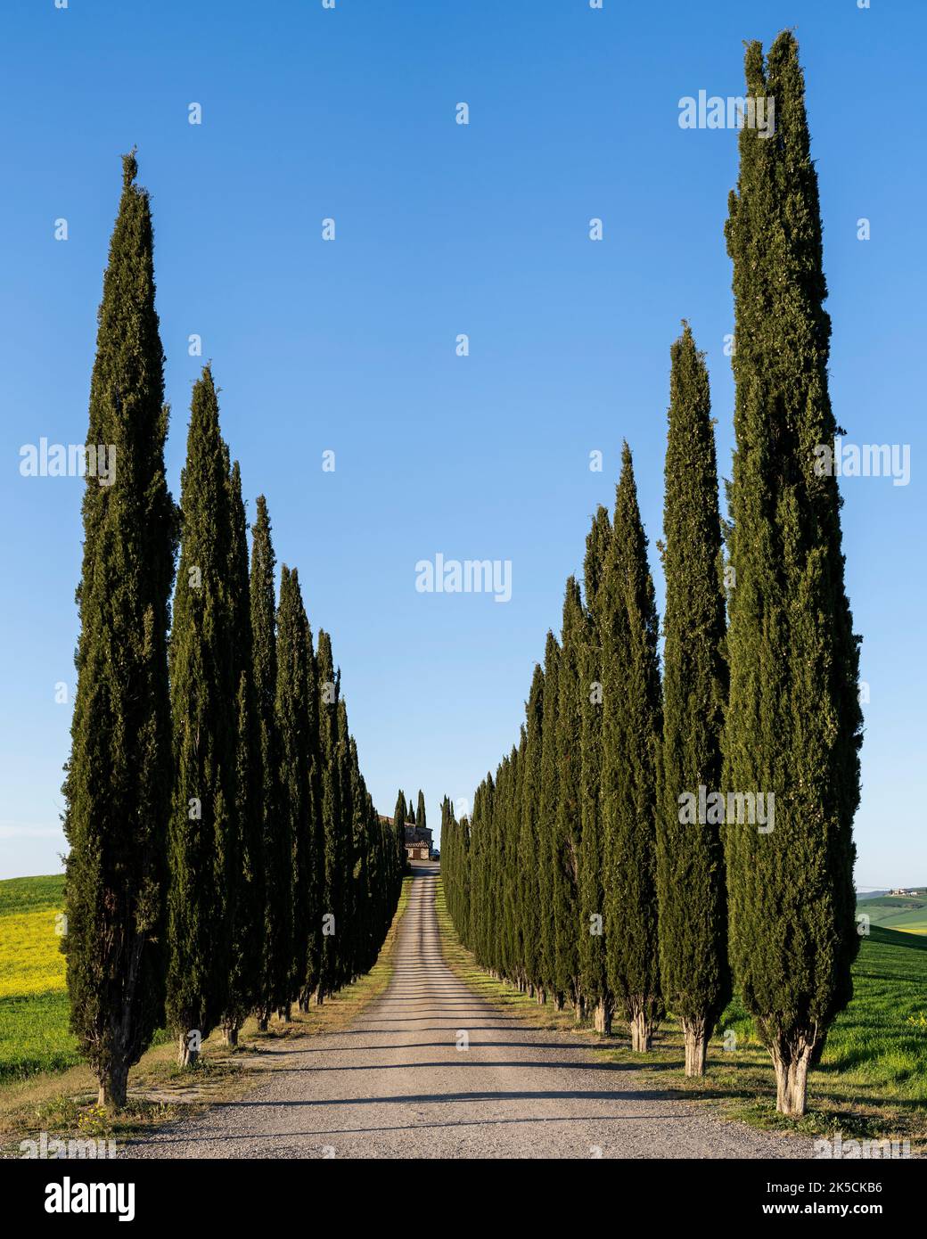 Tuscany trees shadow hi-res stock photography and images - Alamy