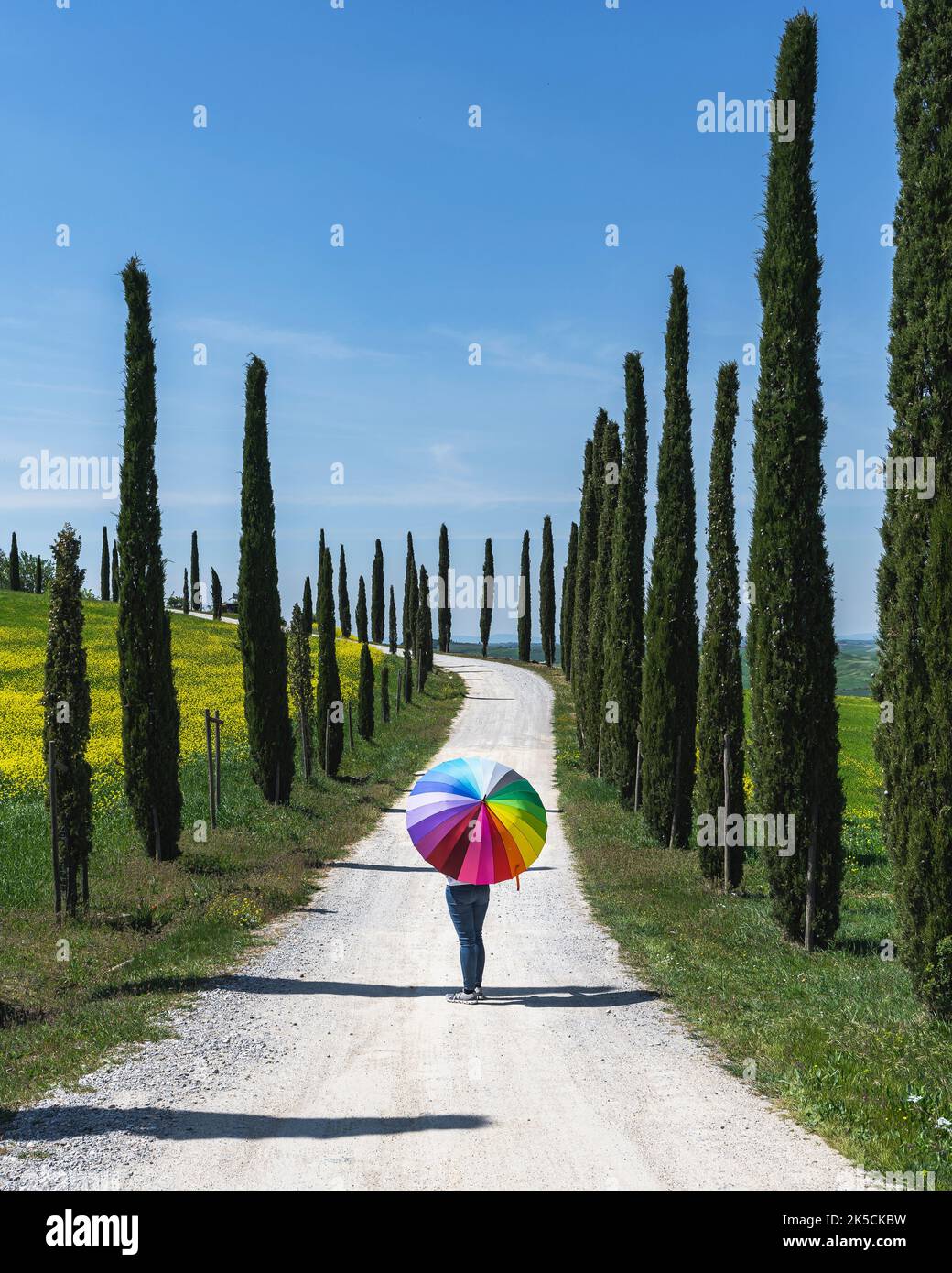 Woman with rainbow umbrella on a street with cypress trees, Tuscany ...