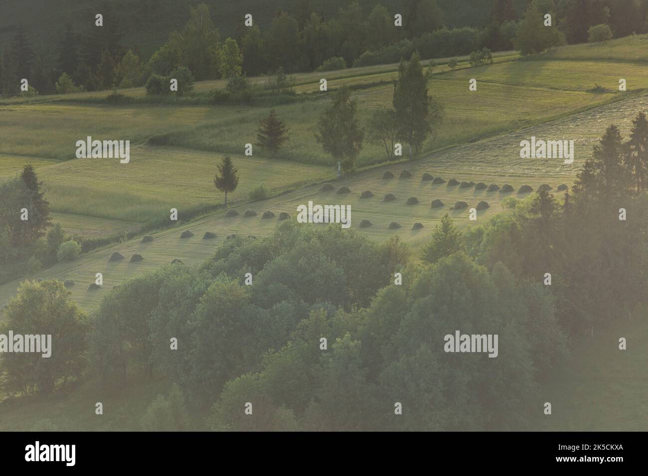Europe, Poland, Lesser Poland, Tatra Mountains, Podhale, view from ...