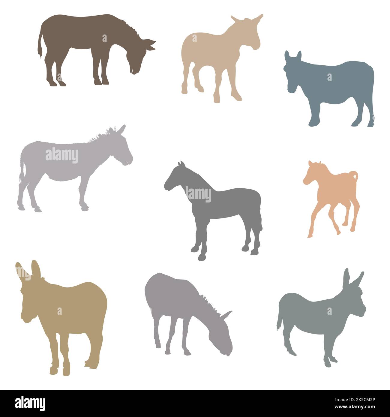 Colorful Donkey Domestic Animal Vector Icon Set. Donkeys Silhouette ...