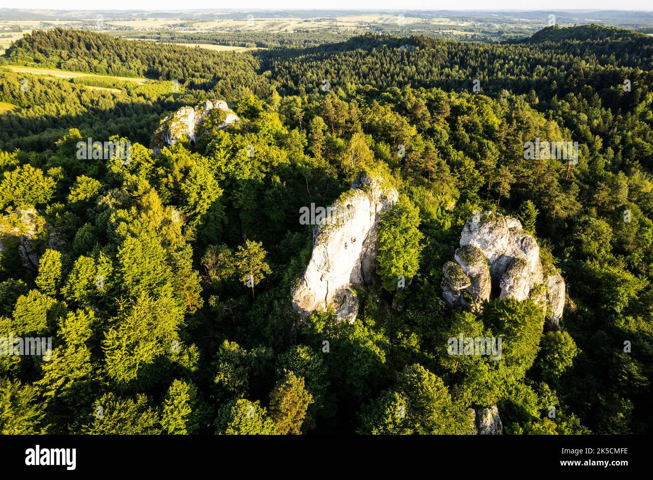 Europe, Poland, Silesia, Krakow-Czestochowa Upland, Polish Jurassic ...