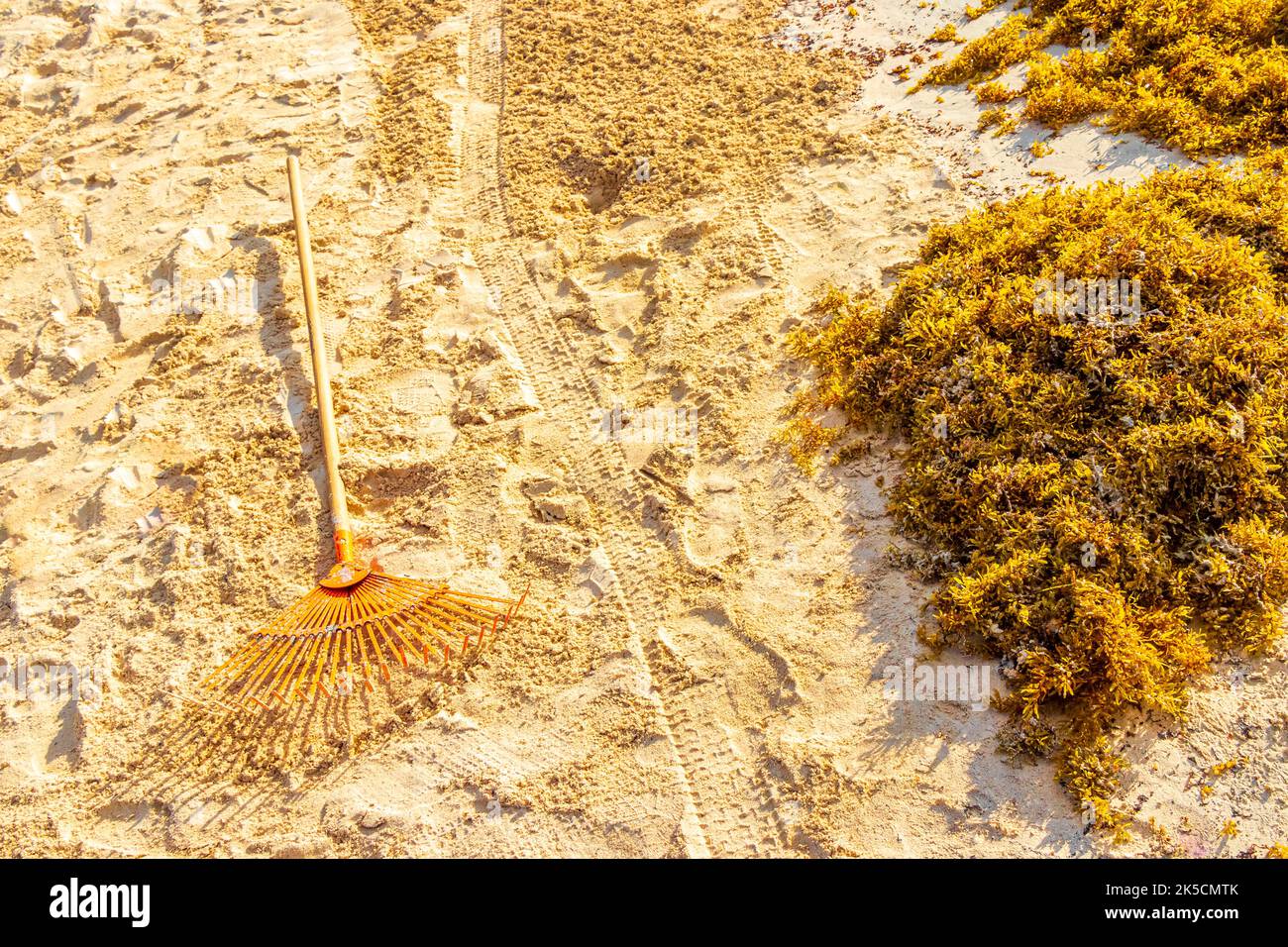 Cleaning the beach with wheelbarrow pitchfork Garden Rake Leaf Broom ...