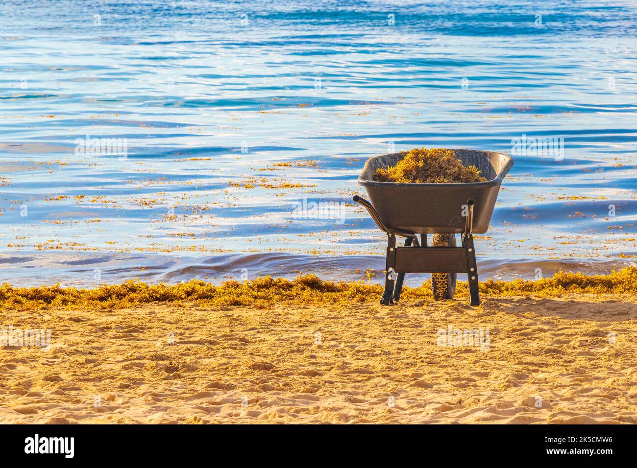 Cleaning the beach with wheelbarrow pitchfork Garden Rake Leaf Broom ...