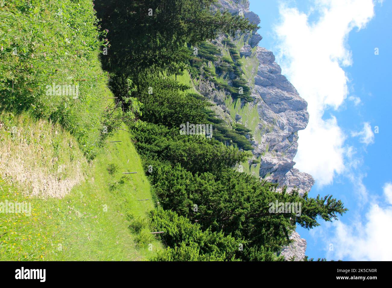 Hike Gehrenalpe 1610m, Wängle near Reutte in Tyrol, Austria, Europe ...