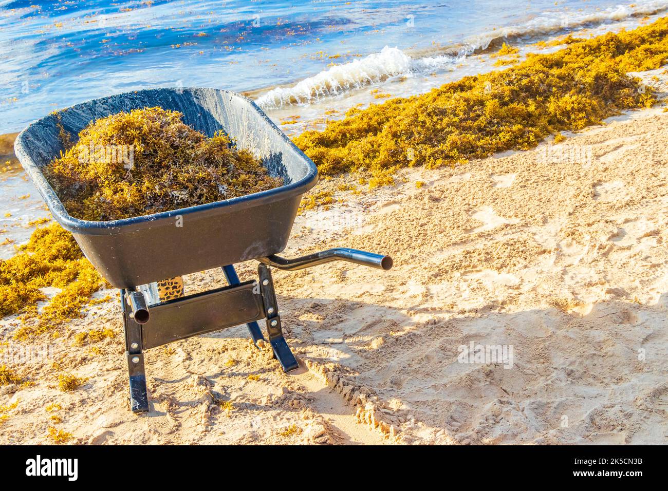 Cleaning the beach with wheelbarrow pitchfork Garden Rake Leaf Broom ...