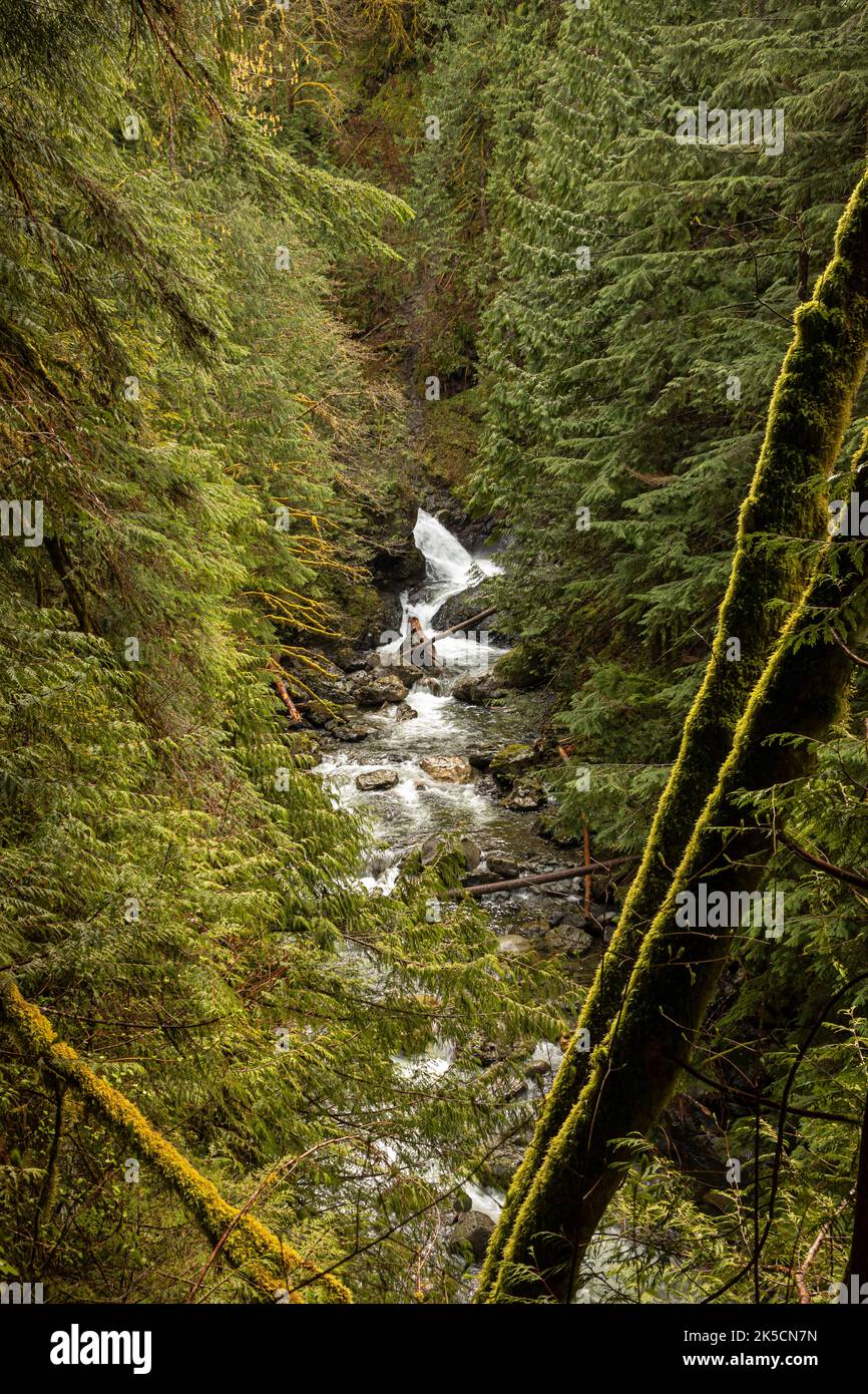 WA22156-00...WASHINGTON - The Wallace River at the base of Upper ...